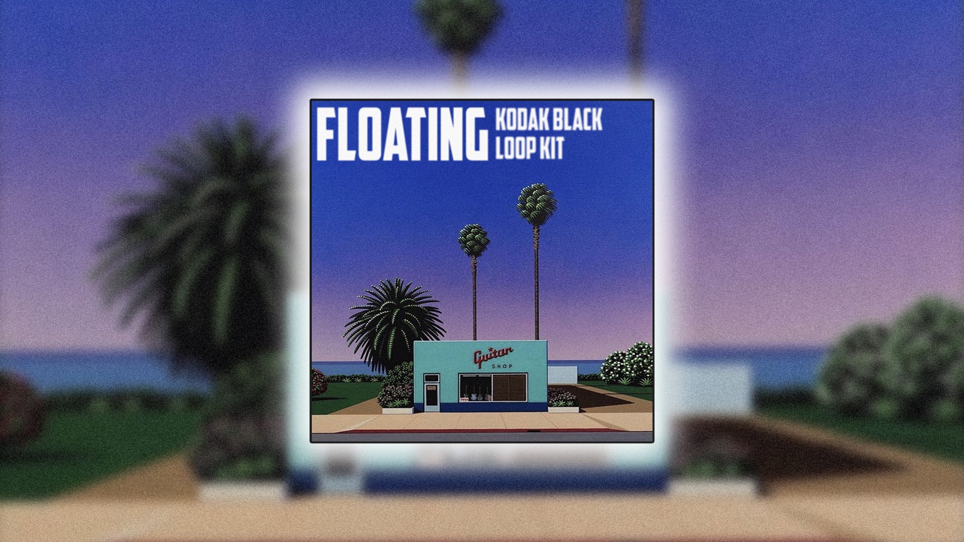 "Floating" Kodak Black Loop Kit – The Loop Cart