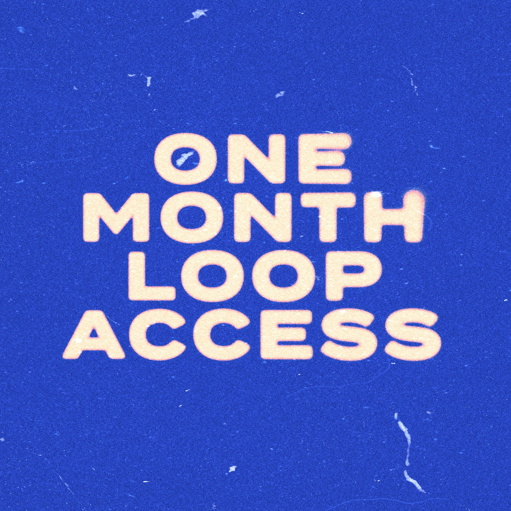 ONE MONTH LOOP SUBSCRIPTION – The Loop Cart